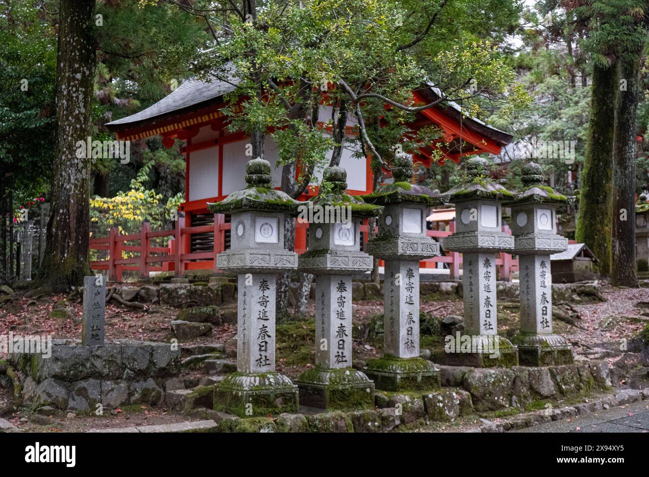 Japanese lanterns forest hi-res stock photography and images - Alamy