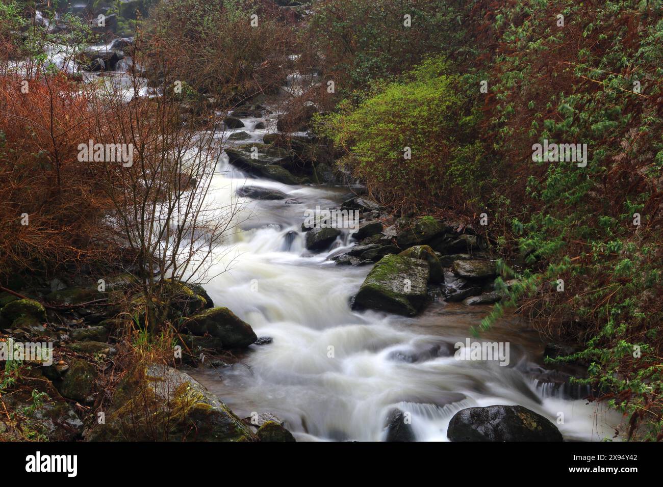 West Lyn River, Glen Lyn Gorge, Lynmouth, North Devon, England, United ...