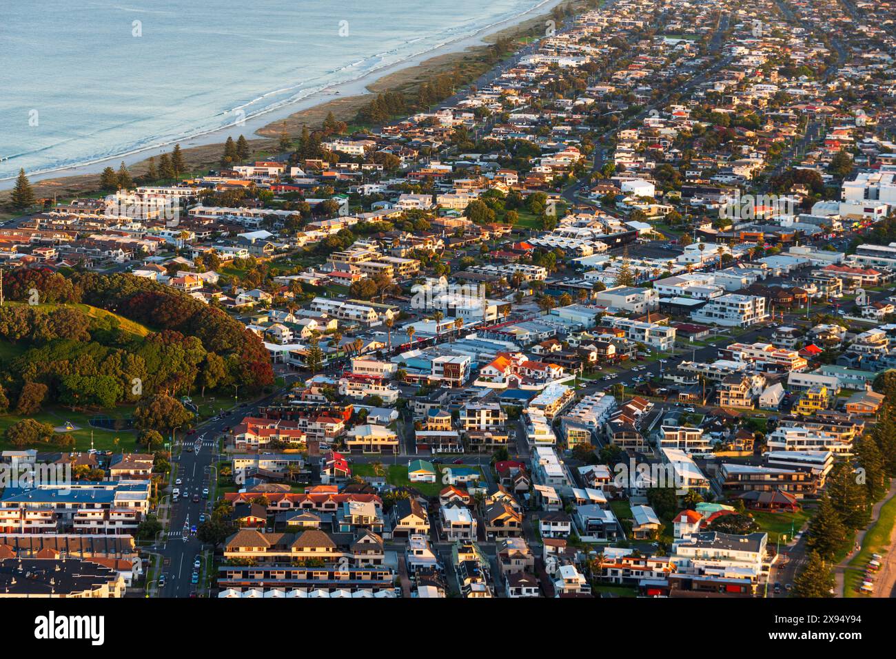 Aerial of residential area of Mount Maunganui, Tauranga, Bay of Plenty ...