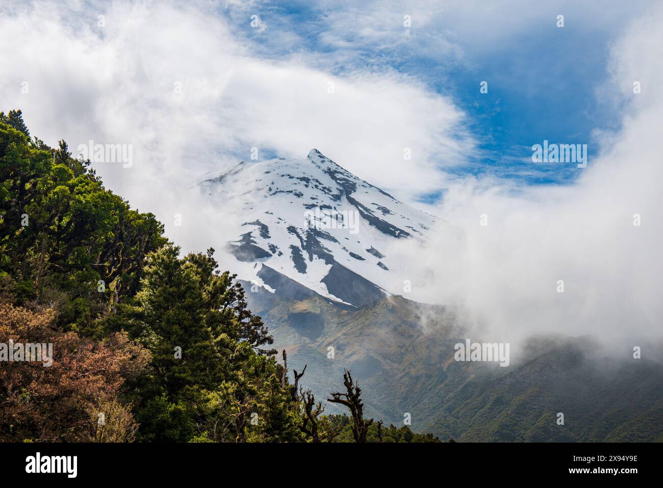 Snowy summit of the volcano, Mount Taranaki, North Island, New Zealand ...