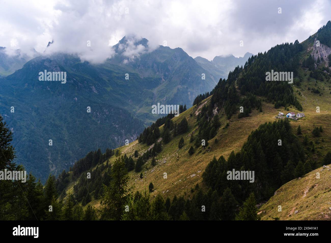 Summer Alpine slopes with meadows and forest, and idyllic mountain hut ...
