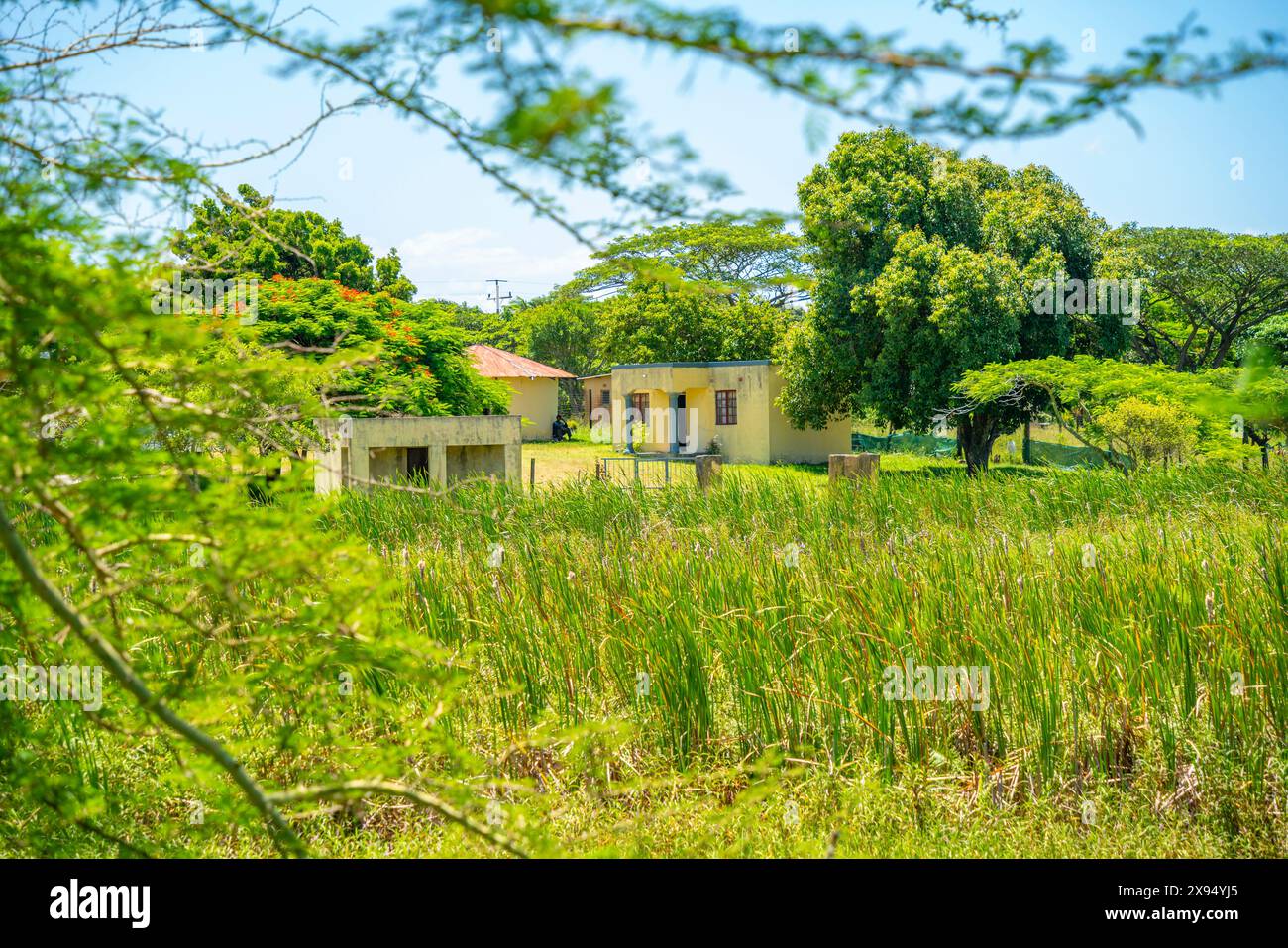 View of colourful houses in traditional Zulu village, Veyane Cultural ...