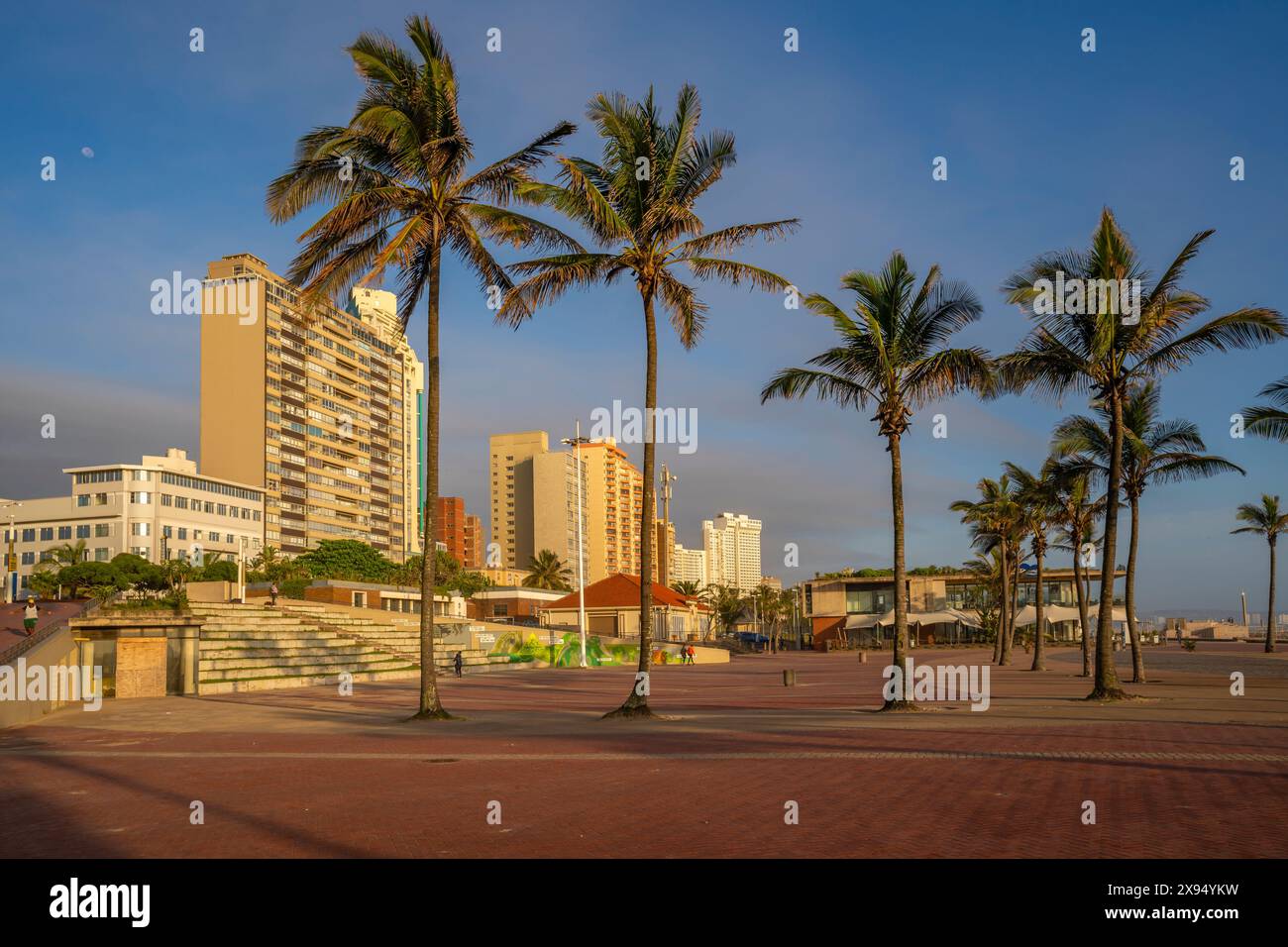 View of palm trees, promenade and hotels in background at sunrise ...