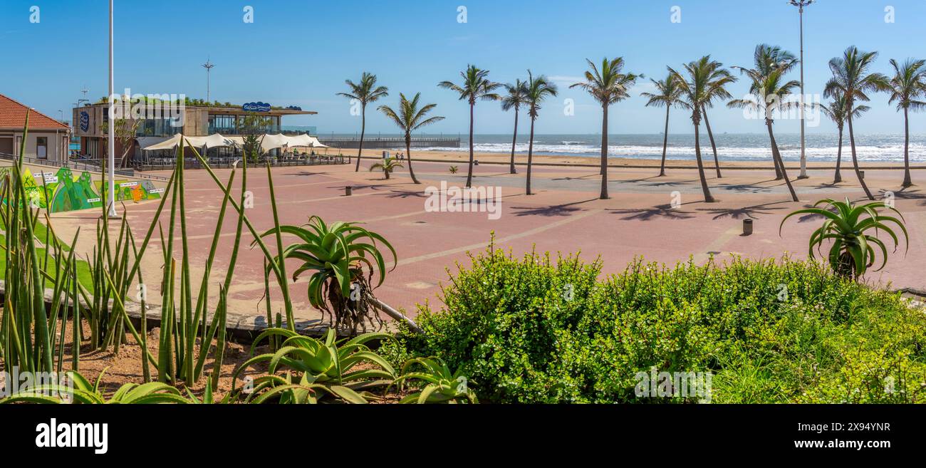 View of palm trees, promenade and Indian Ocean in background, Durban ...