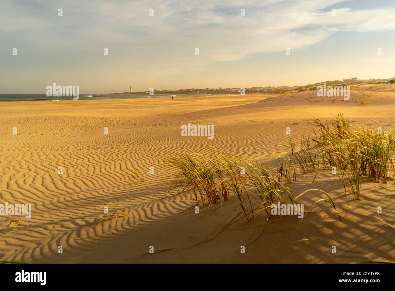 View of sand dunes and beach with Seal Point Lighthouse in background ...