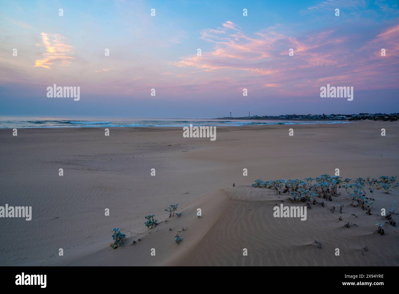 View of beach and Seal Point Lighthouse at sunrise, Cape St. Francis ...