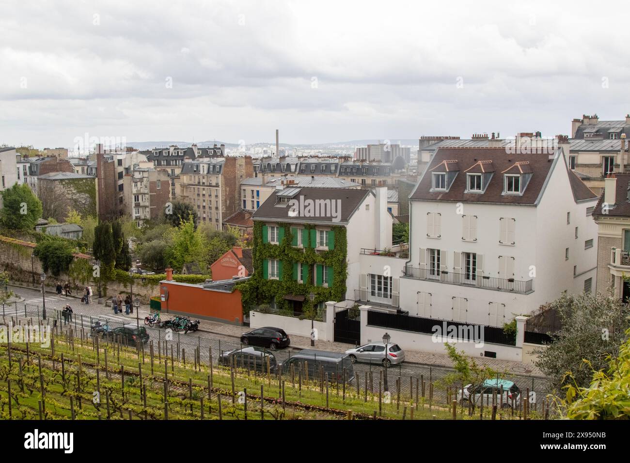 Paris, France, Apirl 20th 2024:- A view of the Montmartre Vineyard ...