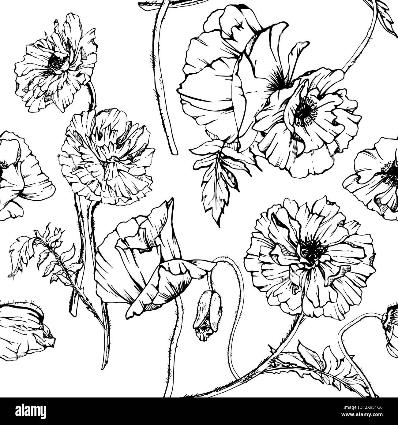 Hand Drawn Vector Graphic Botanical Illustration Flowers Leaves Red