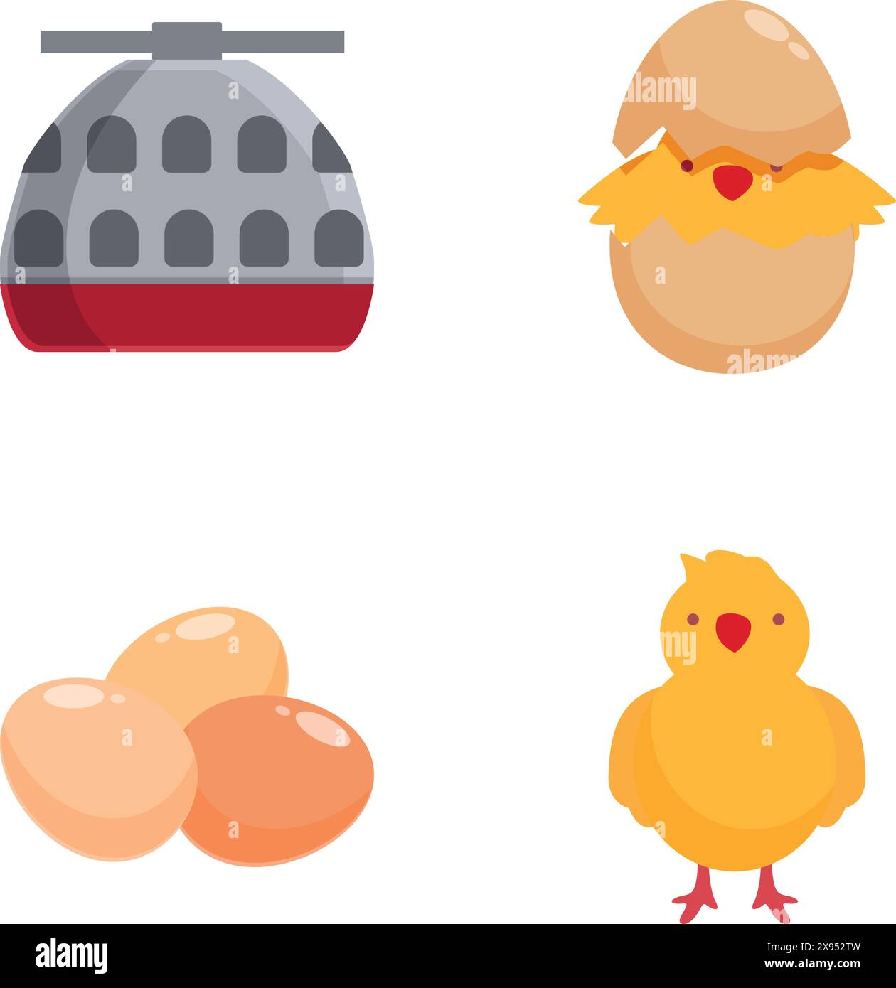 A graphic set depicting stages from eggs to a fully grown chicken Stock ...