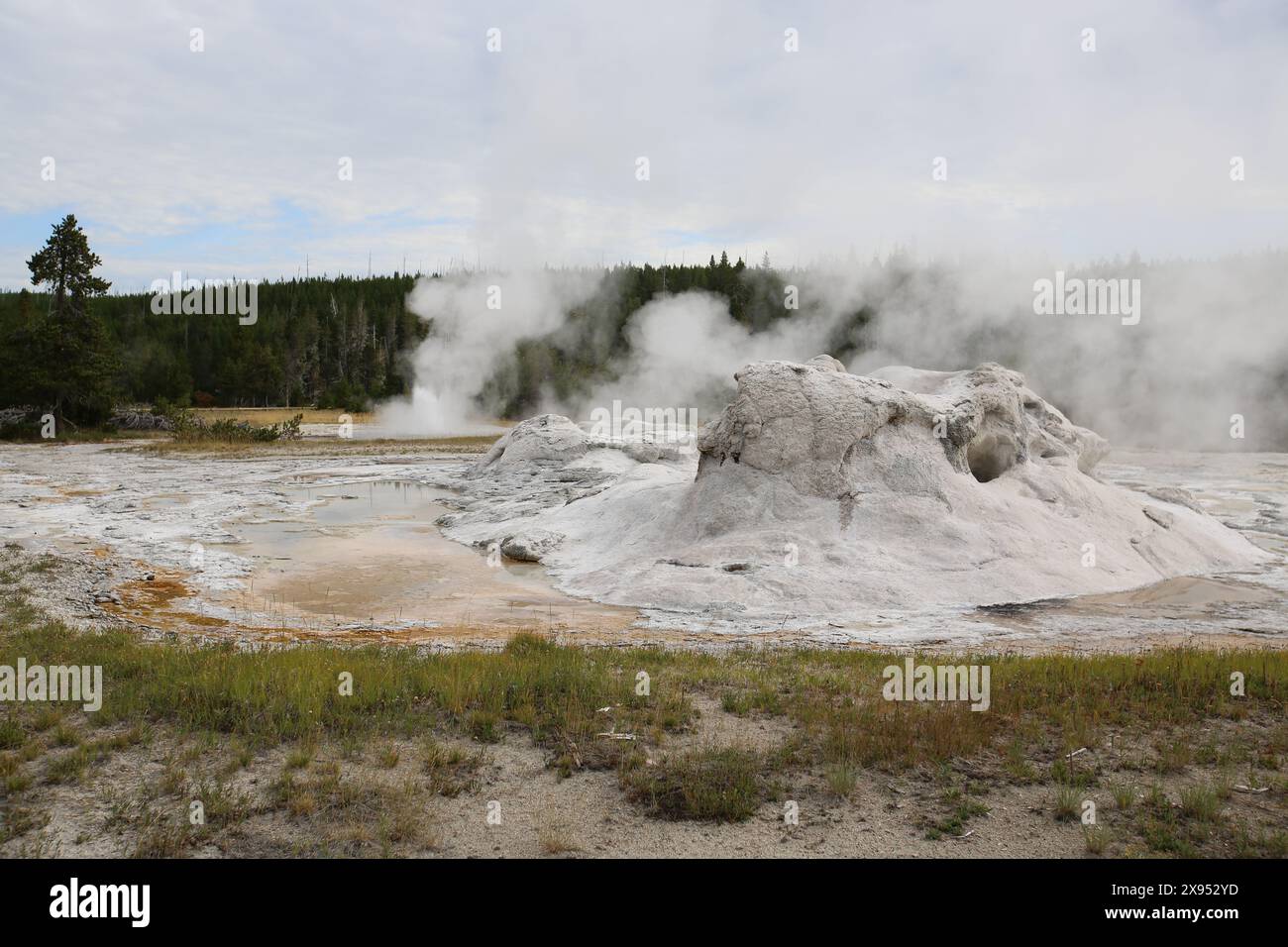 Geyser Grotto of Yellowstone National Park, United States Stock Photo ...