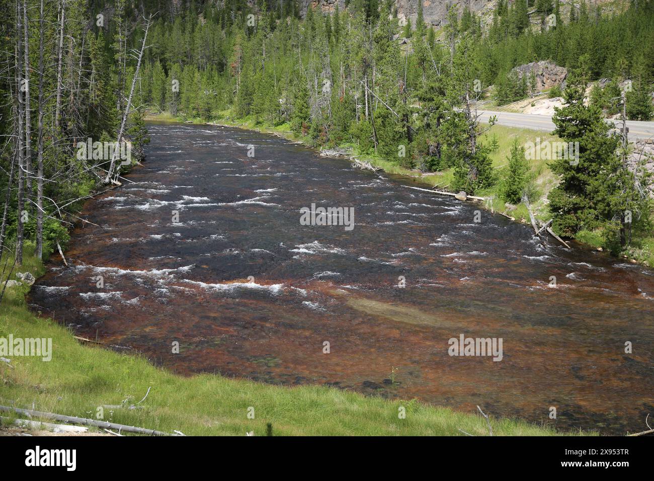 Landscape of Yellowstone National Park, United States Stock Photo - Alamy