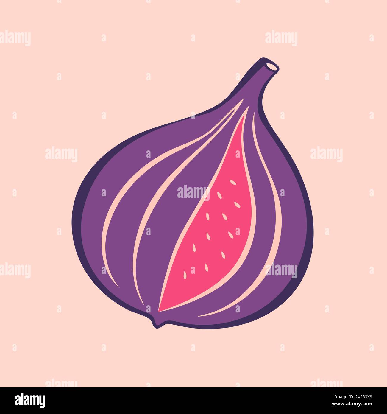 Fruit fig stylized contour doodle drawing, illustration in boho style ...