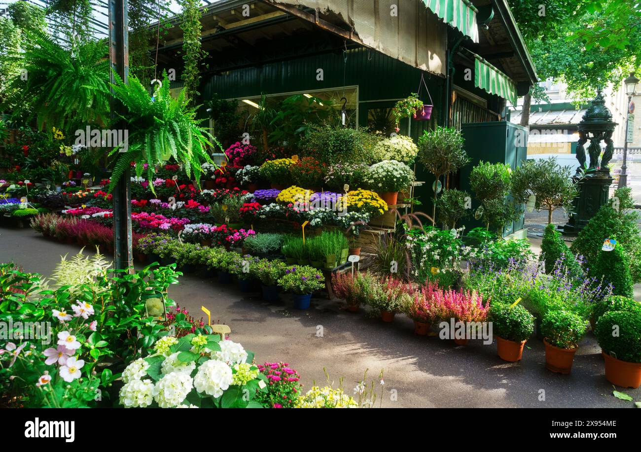 Paris flower market Stock Photo - Alamy
