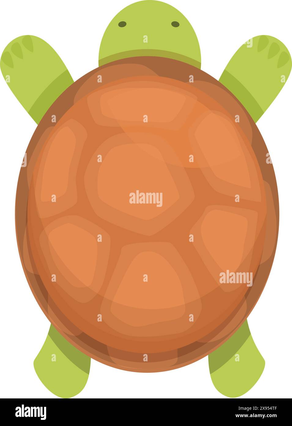 Top view cartoon turtle illustration with a cute and friendly character ...