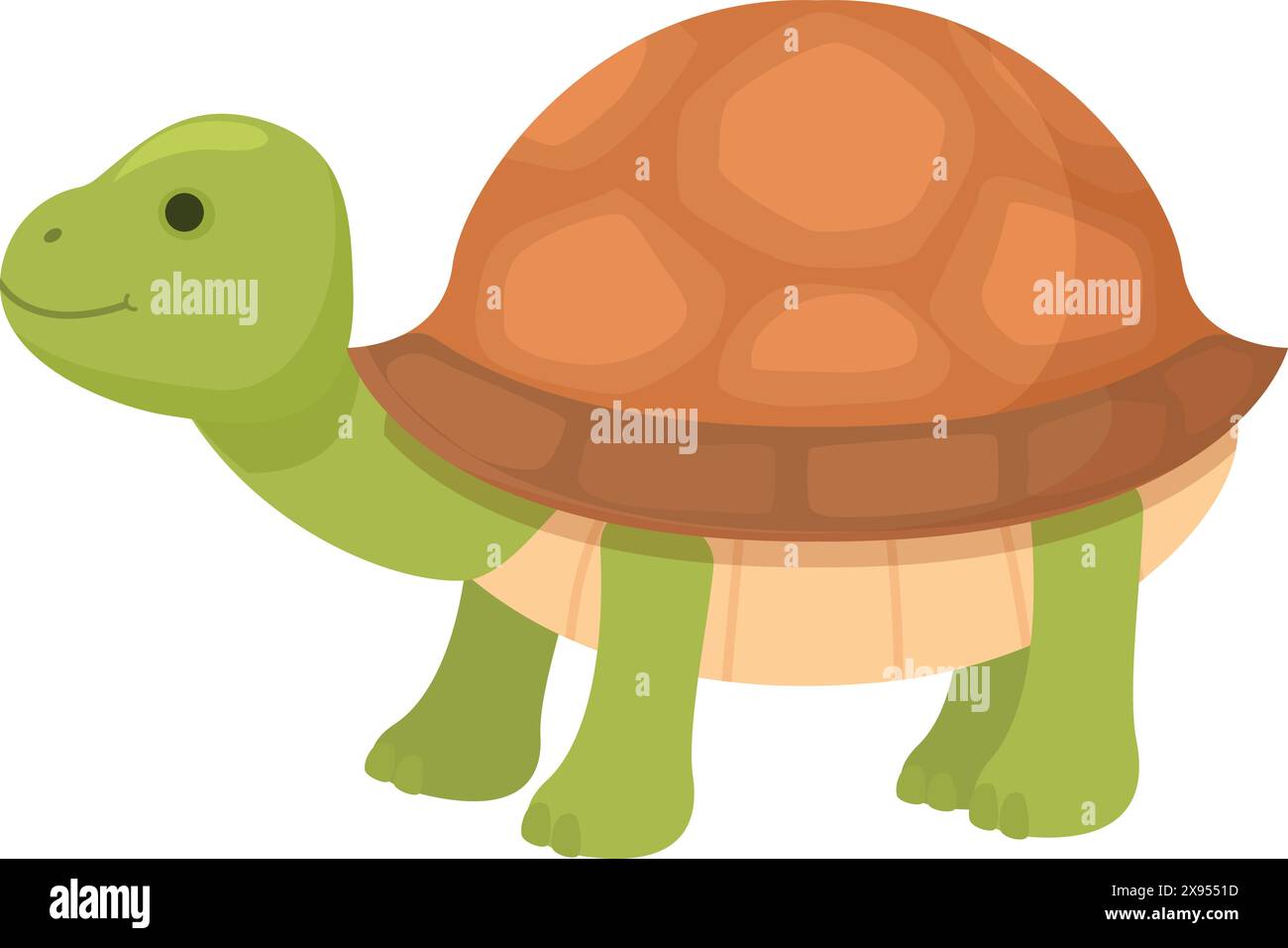 Adorable cartoon turtle illustration with a friendly smiling character ...