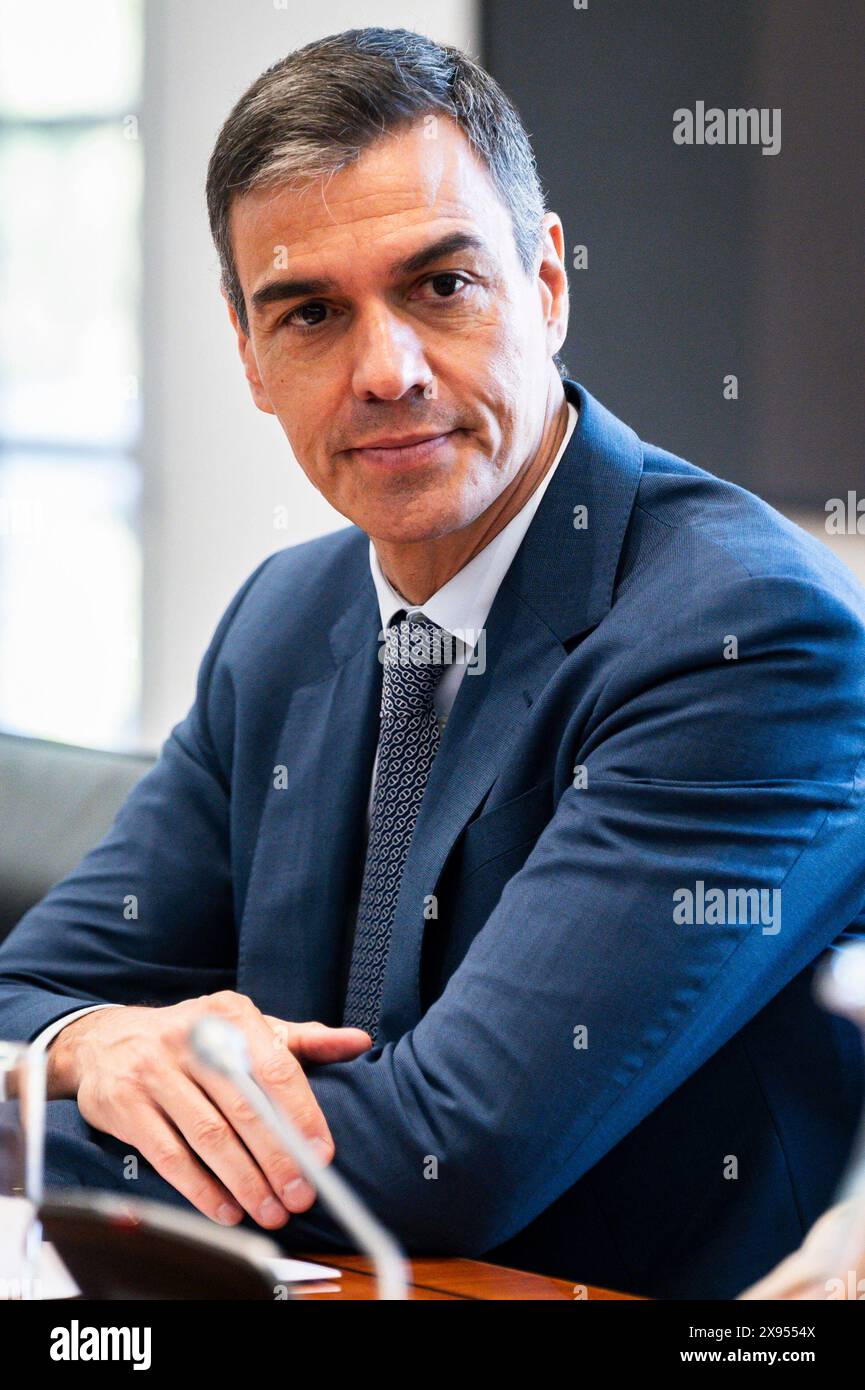 Spanish Politics 2024: Pedro Sanchez receives Arab ministers at Moncloa ...