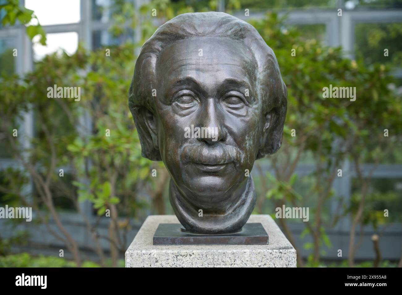 Bust of Albert Einstein, Street of Remembrance, Spreebogen, Moabit ...