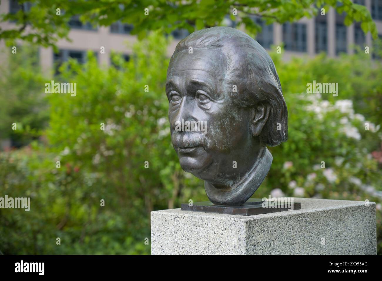 Bust of Albert Einstein, Street of Remembrance, Spreebogen, Moabit ...