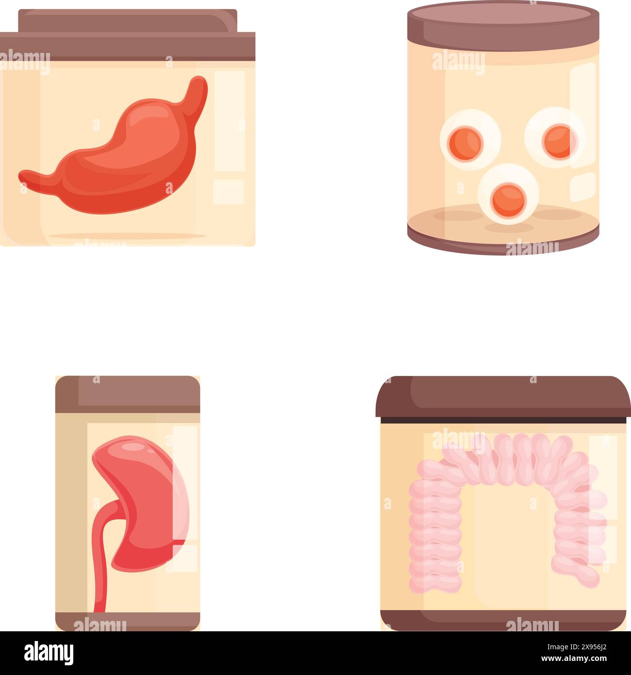 Human body parts container hi-res stock photography and images - Alamy