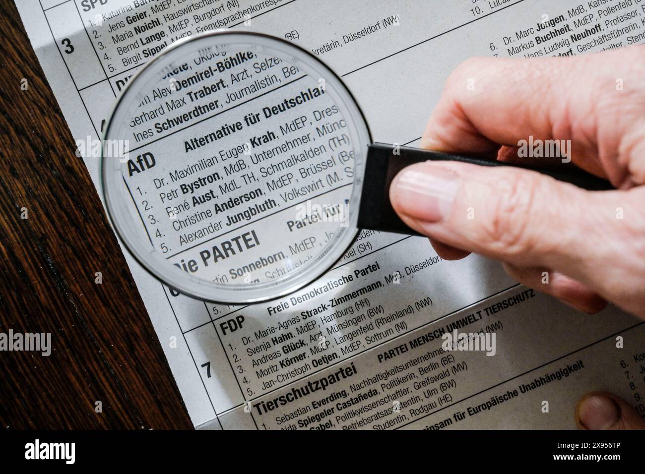 Afd, candidates Maximilian Krah and Petr Bystron, ballot paper, ballot ...