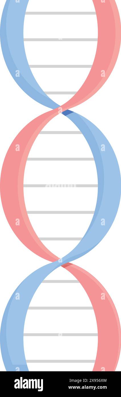 Minimalist illustration of the dna double helix in blue and red ...