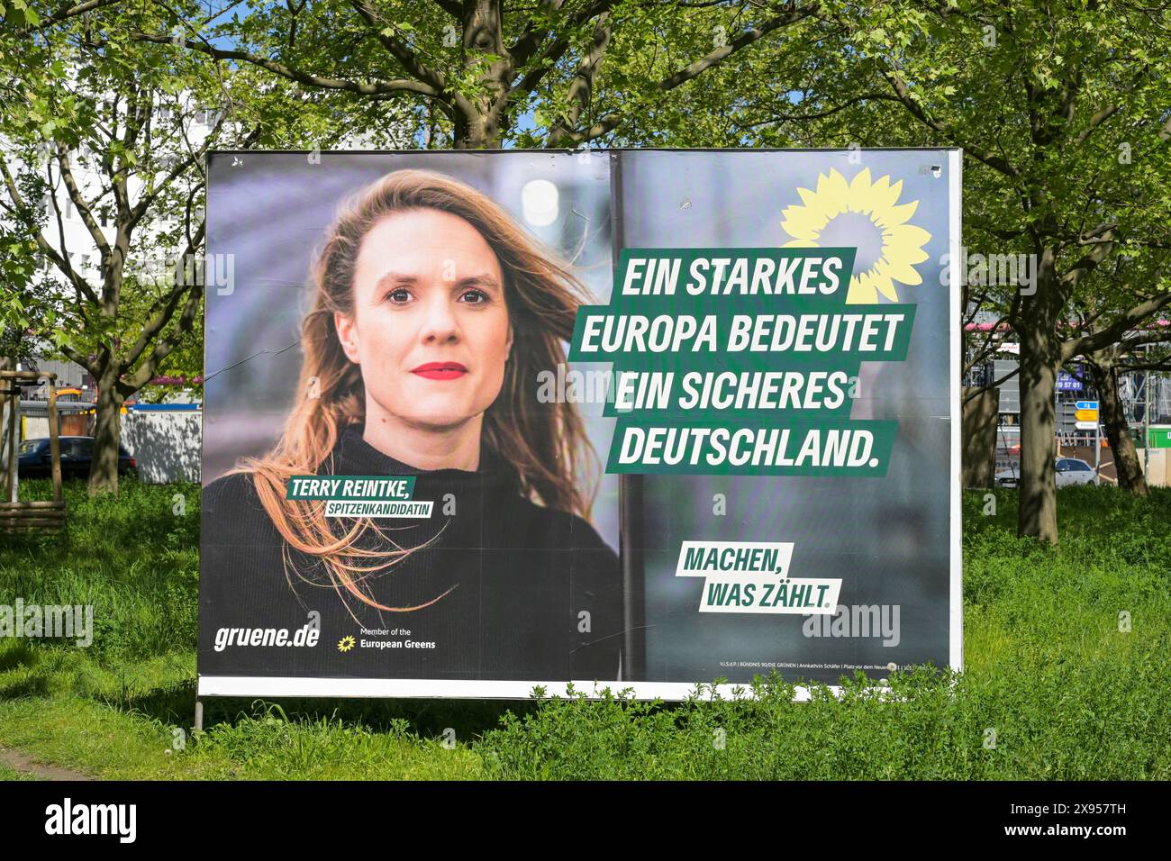 Terry Reintke, The Greens, election poster for the European elections ...