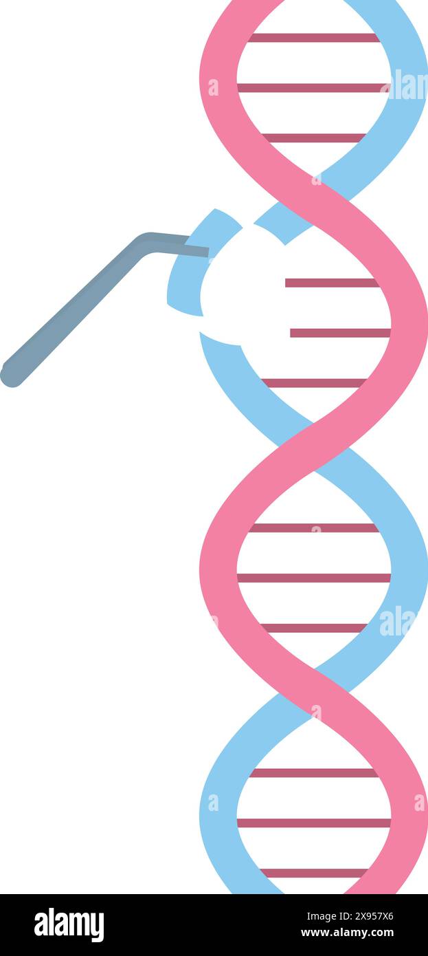 Vector graphic of genetic editing symbolized by a tool modifying a dna ...