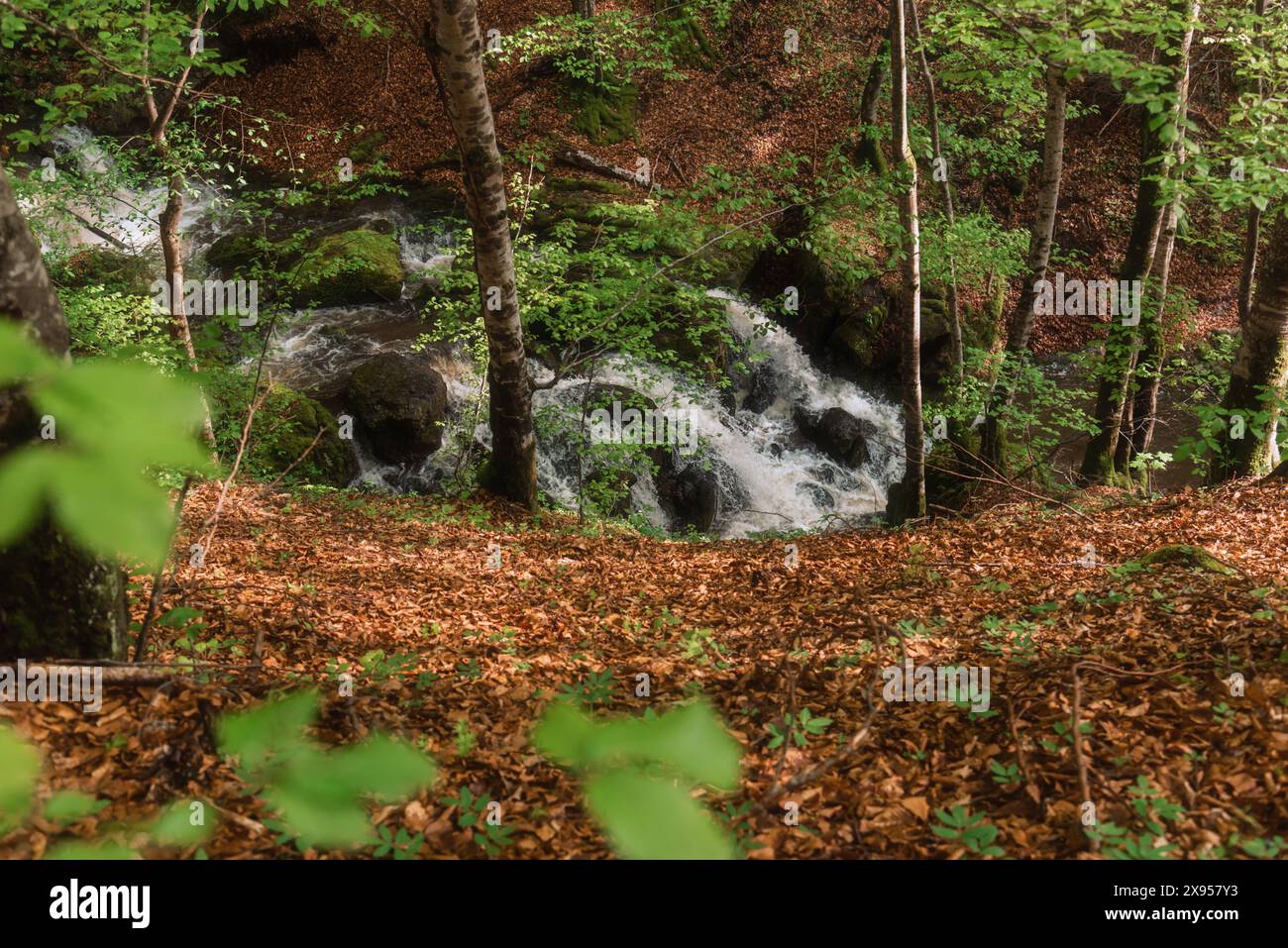 Waterfall Hike in Nature Park Golija Serbia Stock Photo - Alamy
