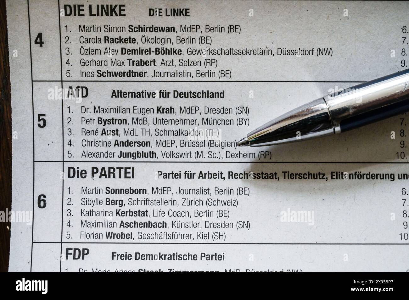 Afd, candidates Maximilian Krah and Petr Bystron, ballot paper, ballot ...