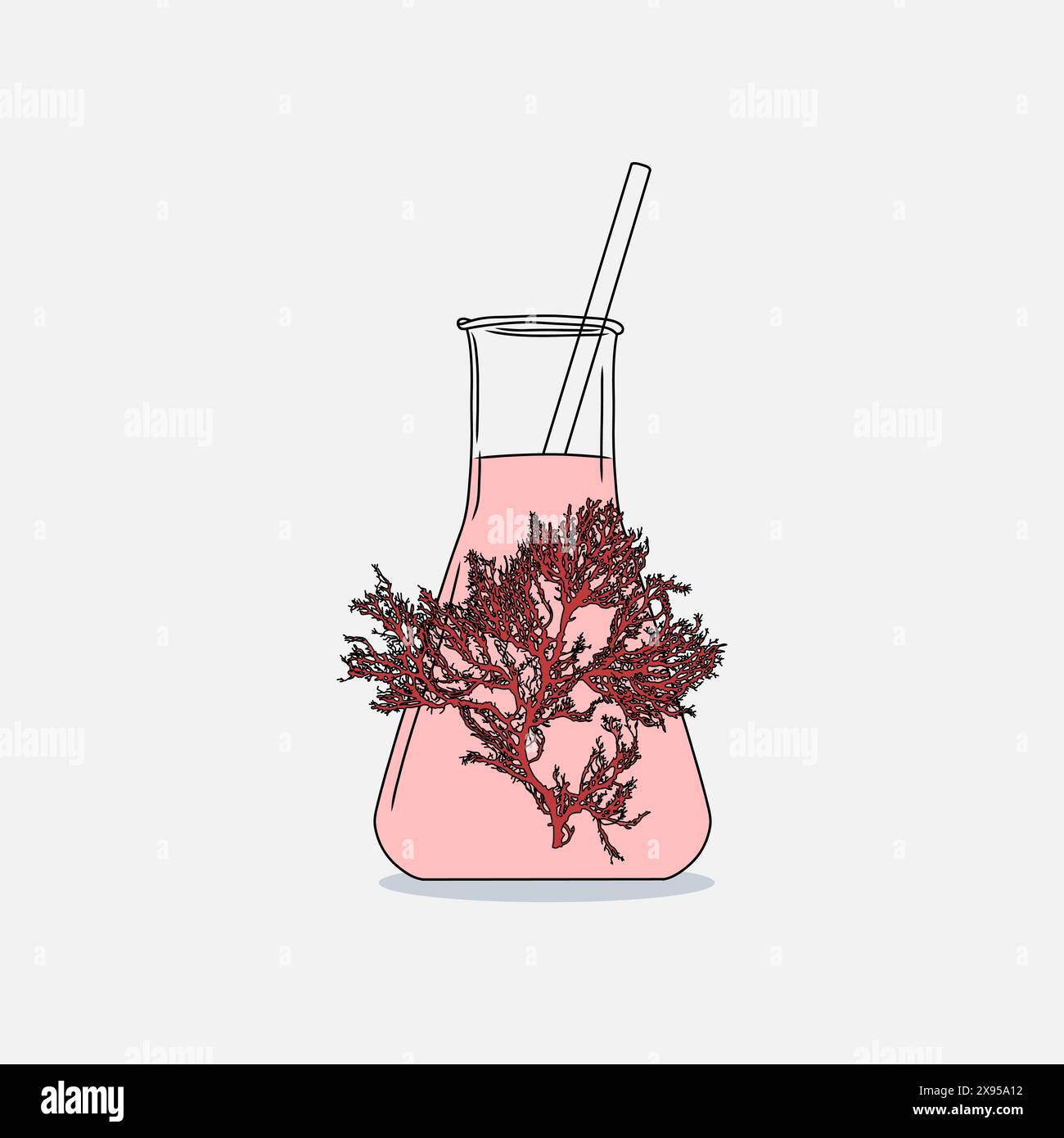 Hand drawn Erlenmeyer flask filled Red seaweed or Rhodophyta algae and ...