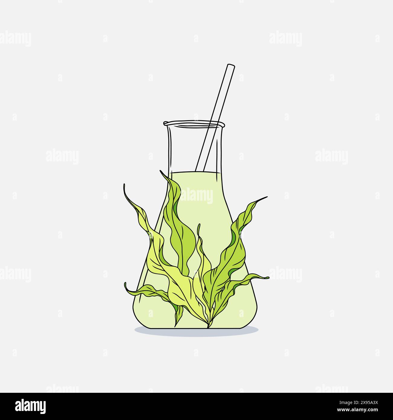Hand drawn Erlenmeyer flask filled green seaweed algae and transparent ...