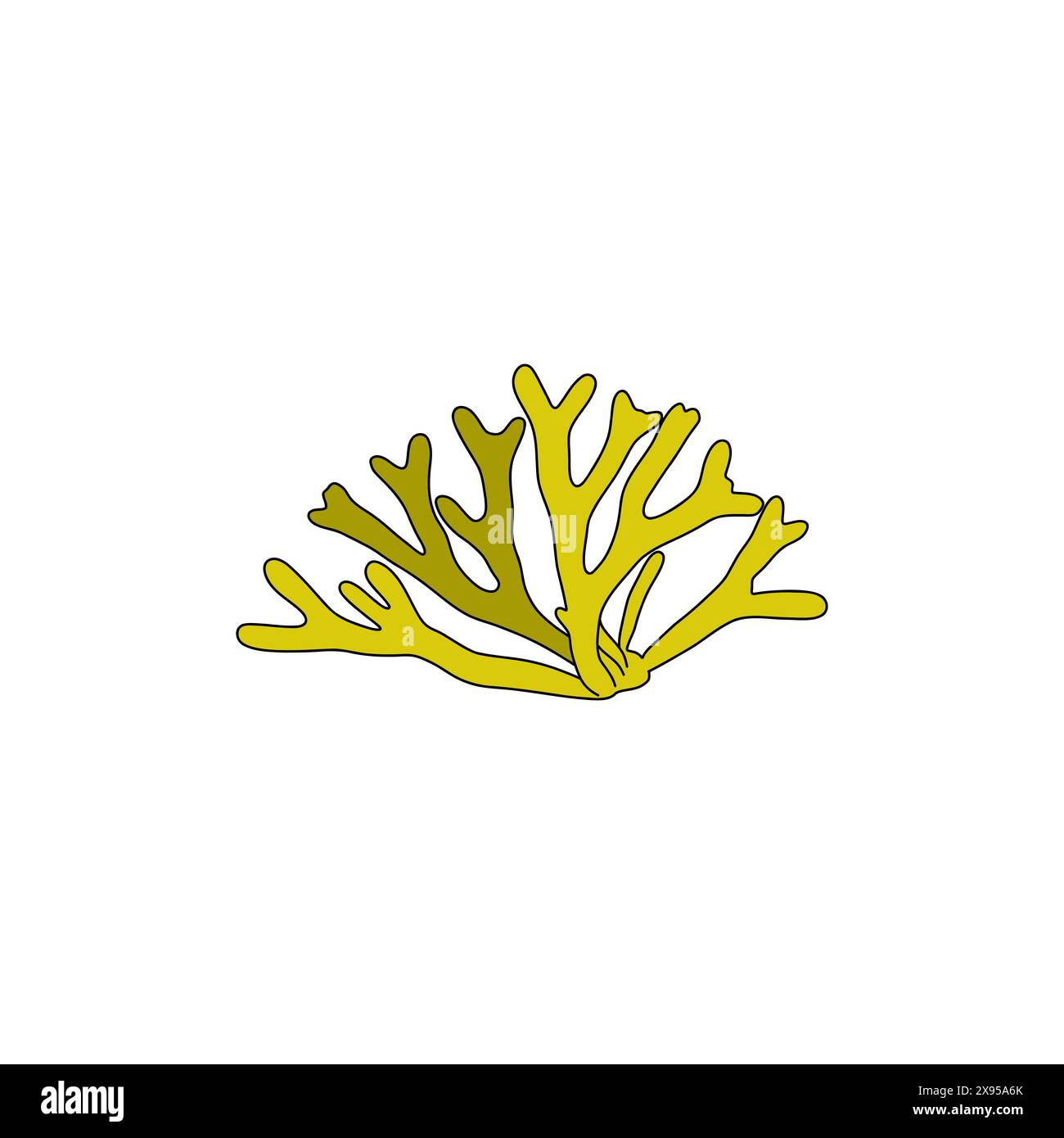 Green horn coral Stock Vector Images - Alamy