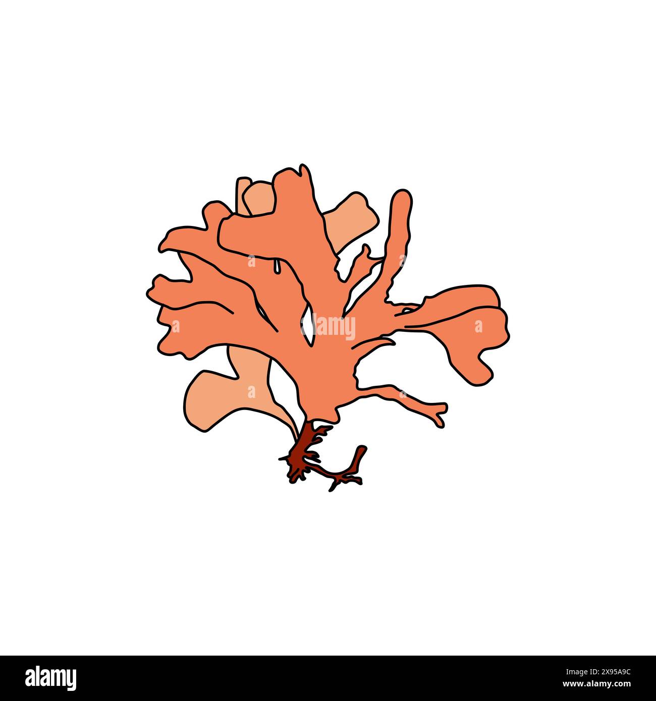 Seaweed Stock Vector Images - Alamy