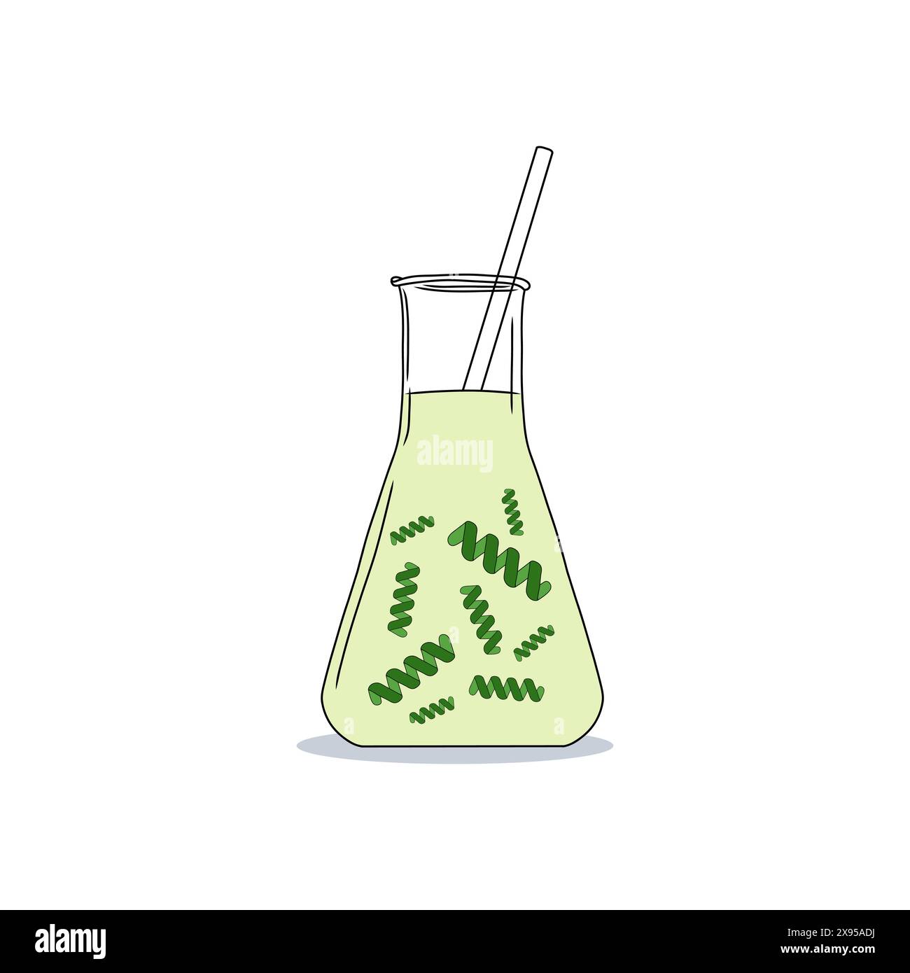 Hand drawn Erlenmeyer flask filled Spirulina algae and transparent ...