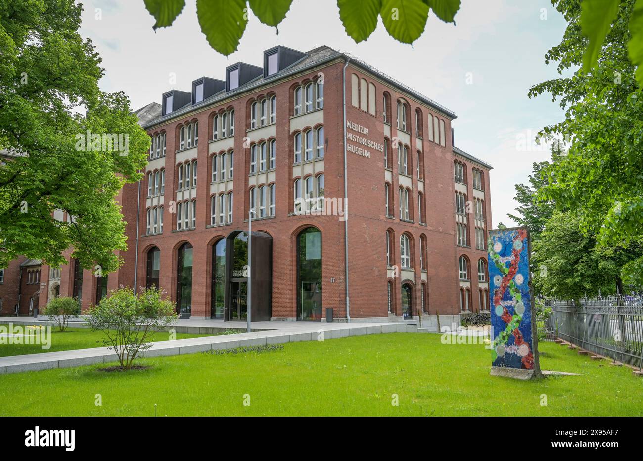 Medical History Museum of the Charité, Charitéplatz, Mitte, Berlin, Germany, Medizinhistorisches ...