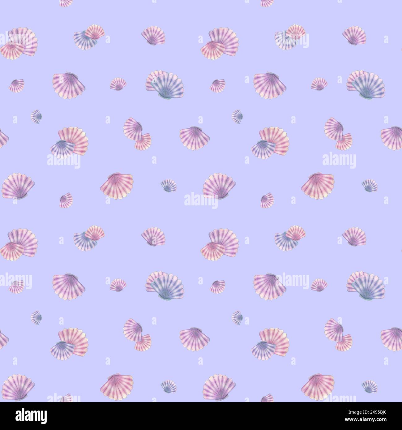 Seashells scallops in blue, lilac and pink colors on a lilac background ...