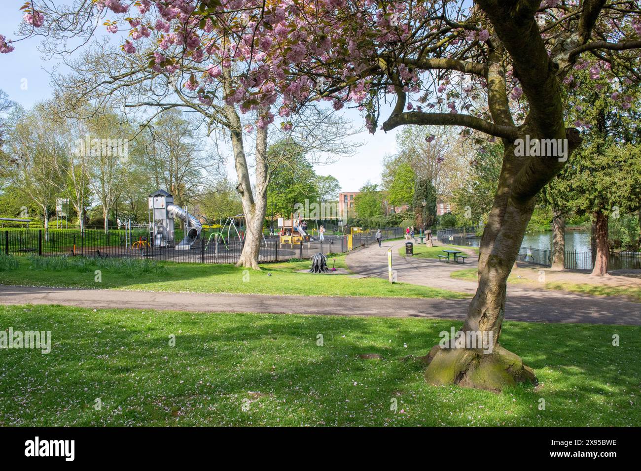 Spring at Arnot Hill Park in Arnold Nottingham Nottinghamshire England ...