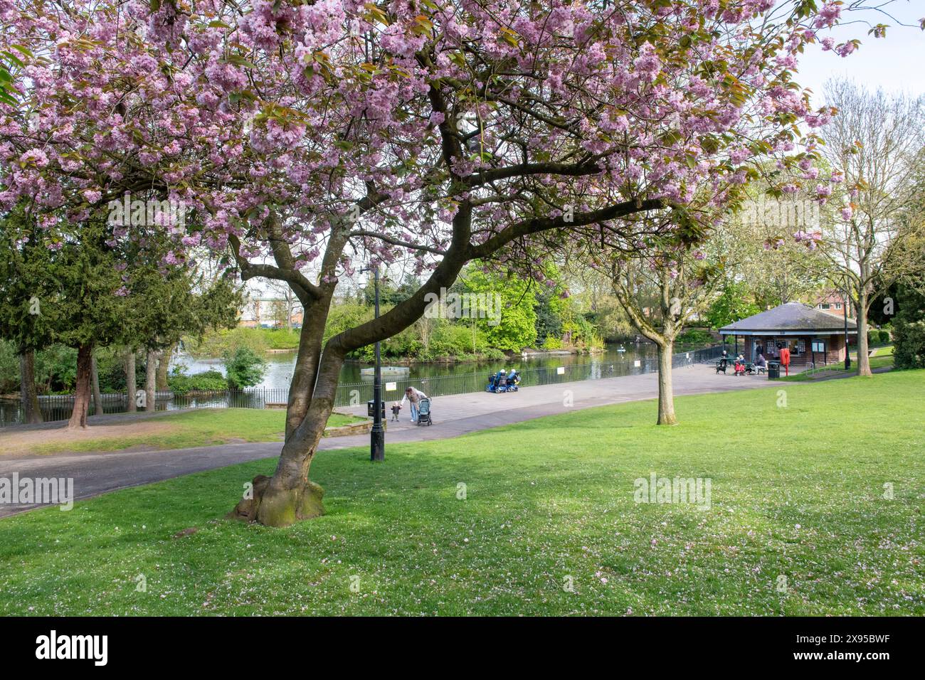Spring at Arnot Hill Park in Arnold Nottingham Nottinghamshire England ...