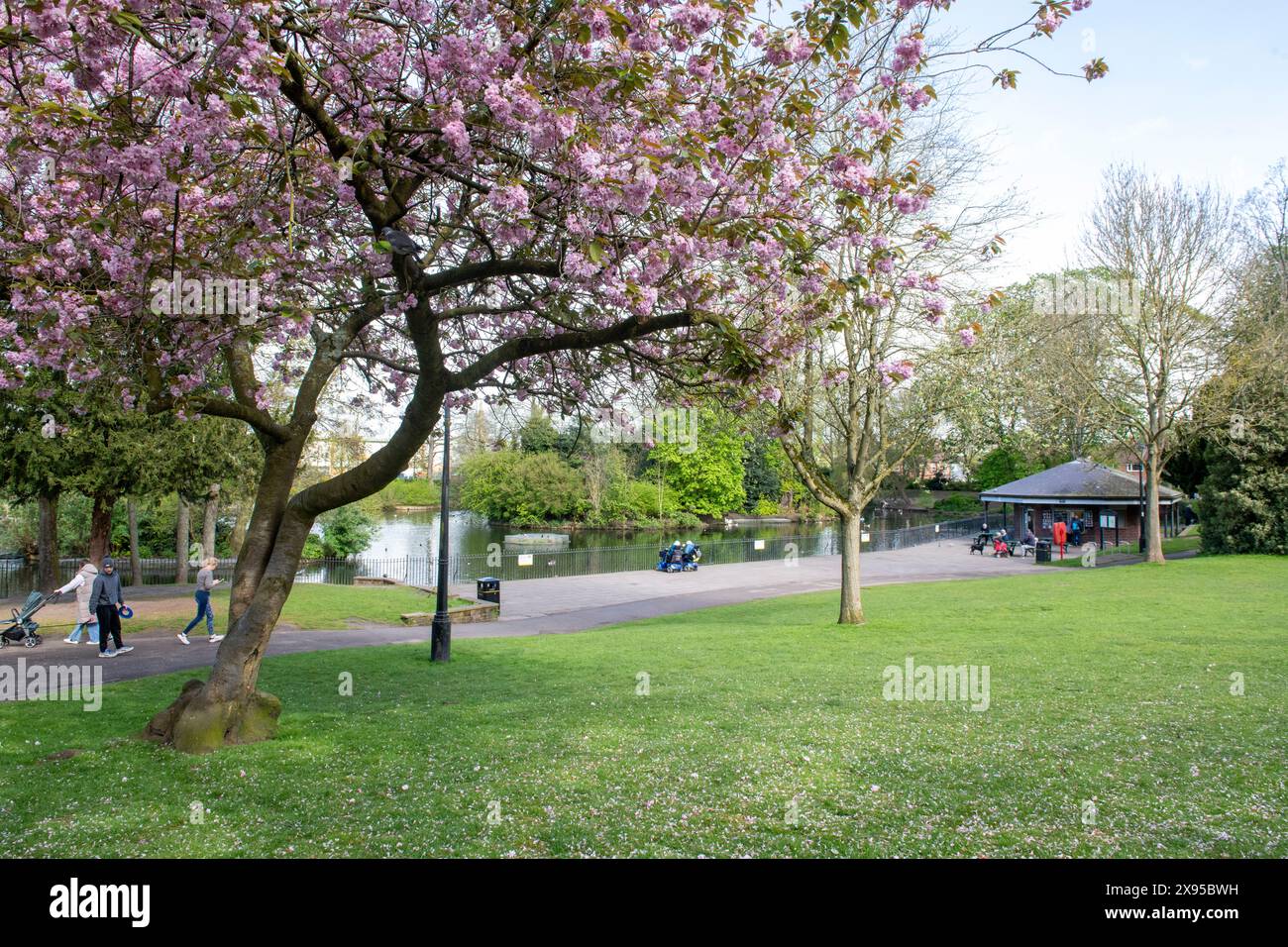 Spring at Arnot Hill Park in Arnold Nottingham Nottinghamshire England ...