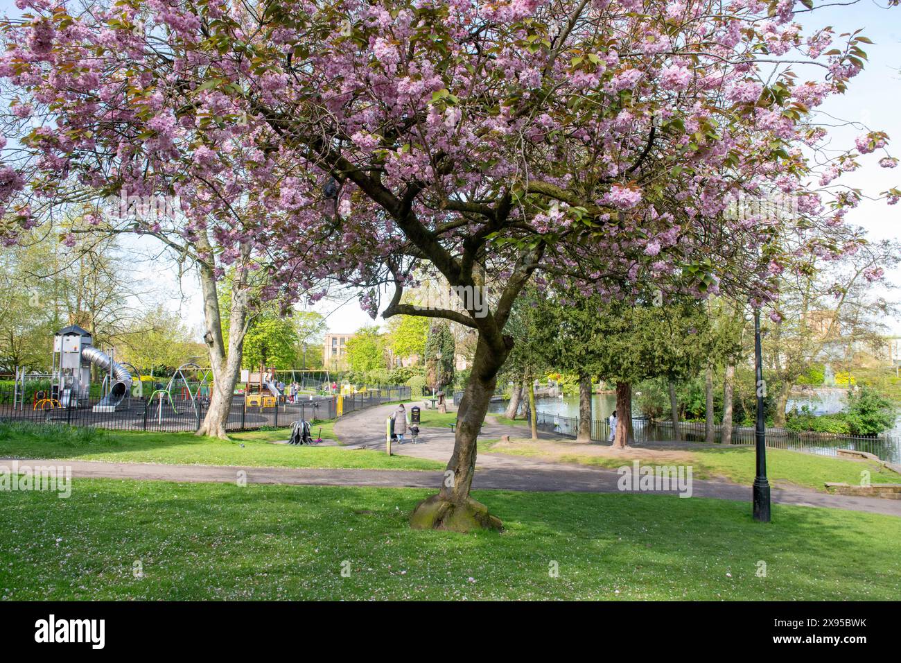 Spring at Arnot Hill Park in Arnold Nottingham Nottinghamshire England ...