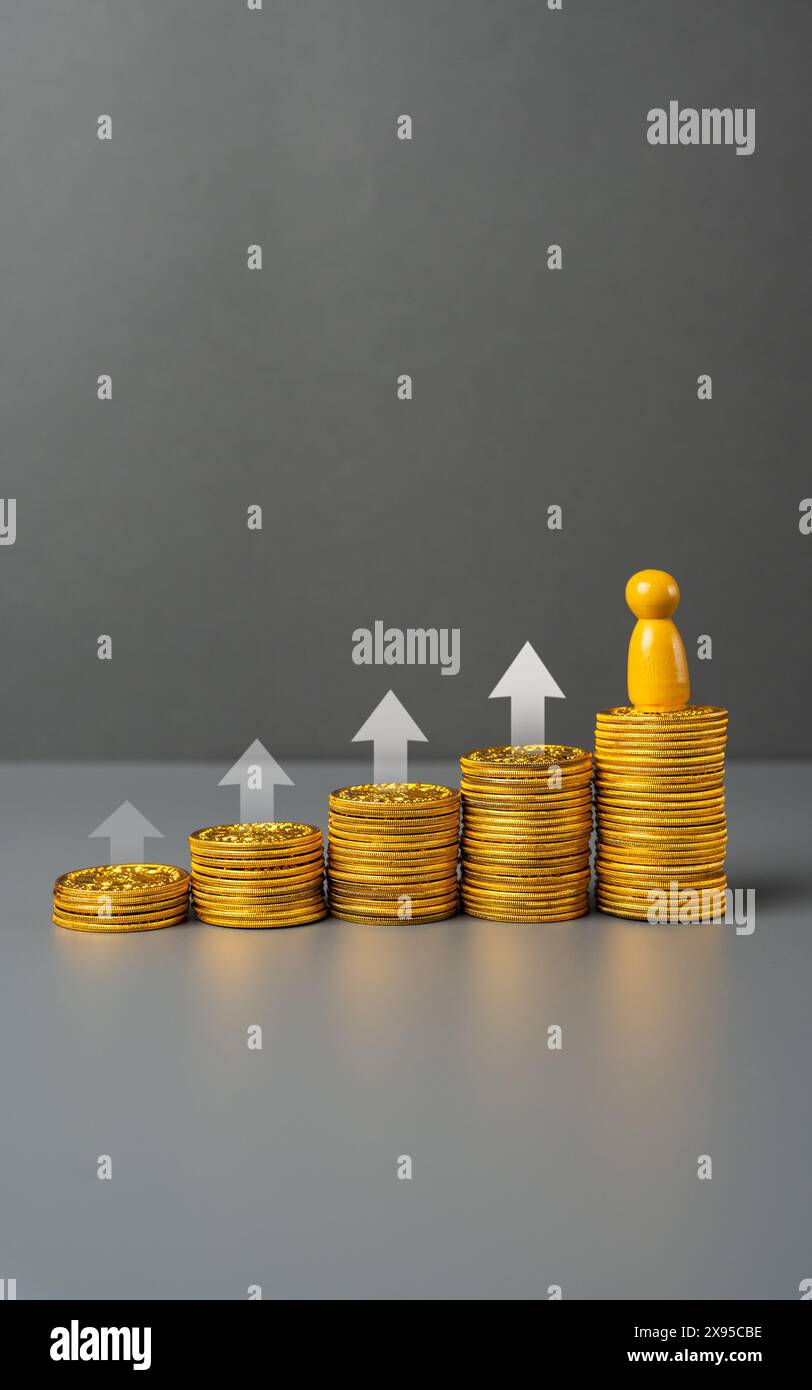 Salary increase. Savings and capital. Purchasing power. Investments ...