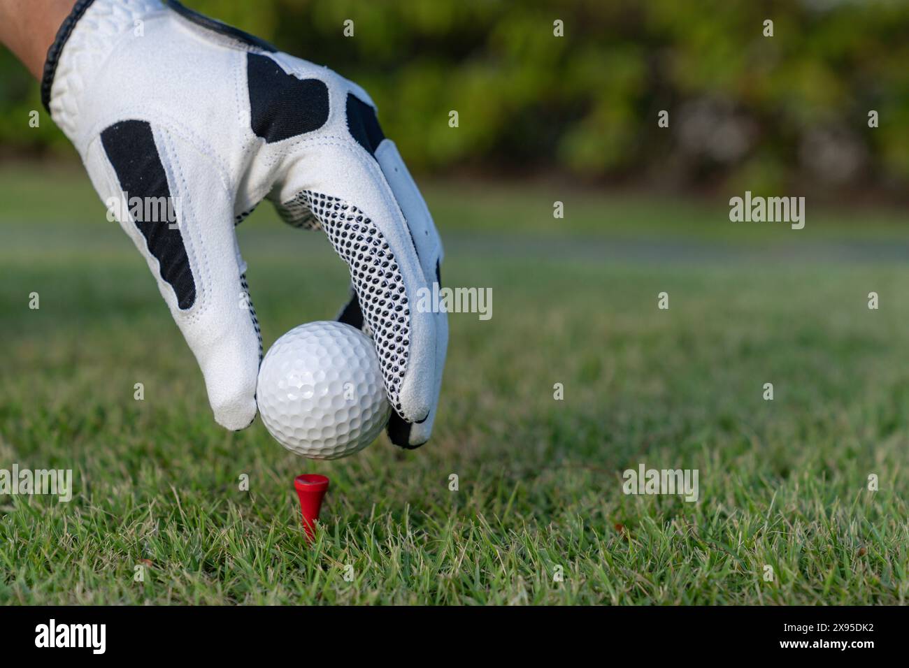 Hand put a golf ball Stock Photo - Alamy