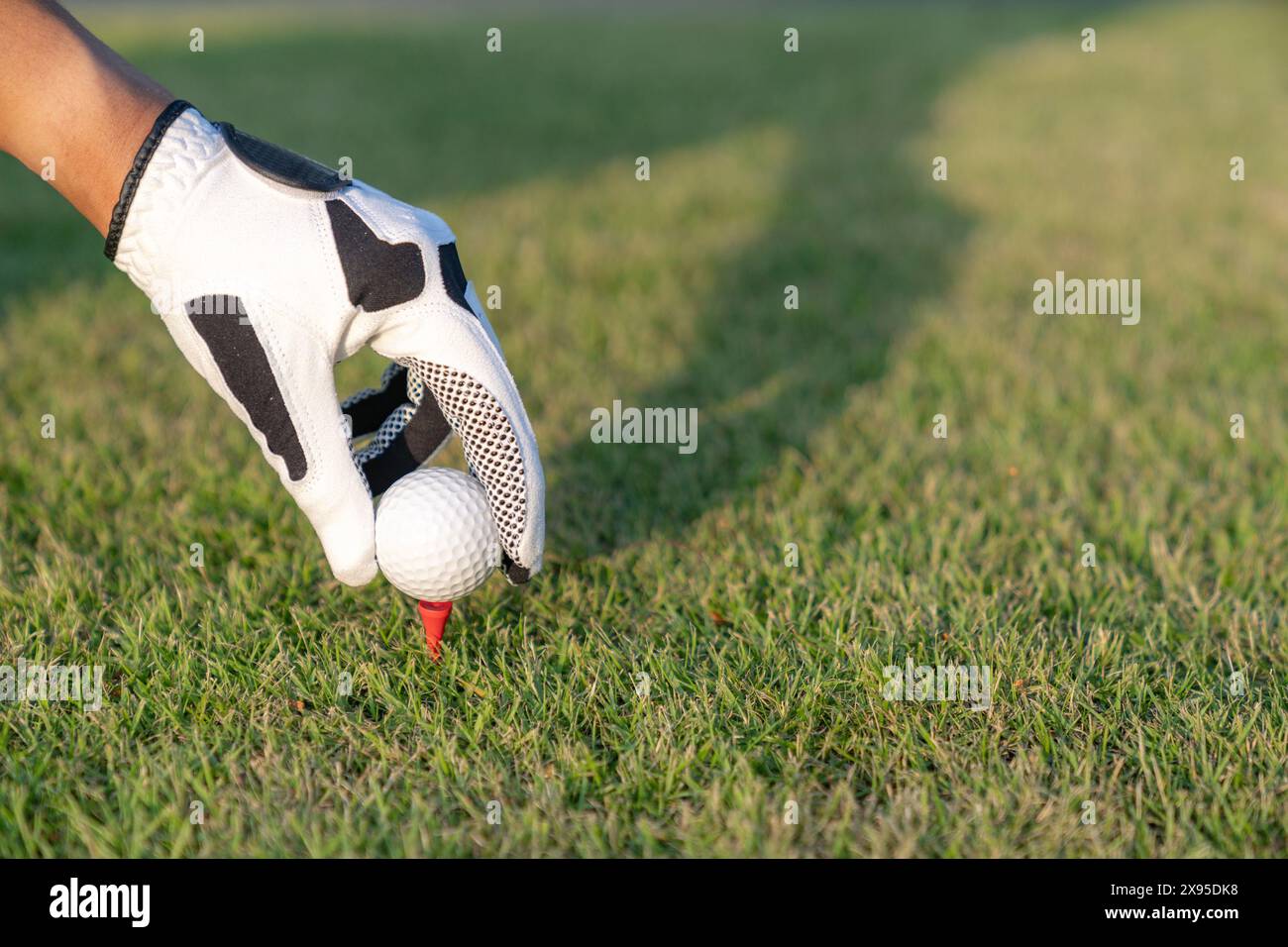 Hand put a golf ball Stock Photo - Alamy