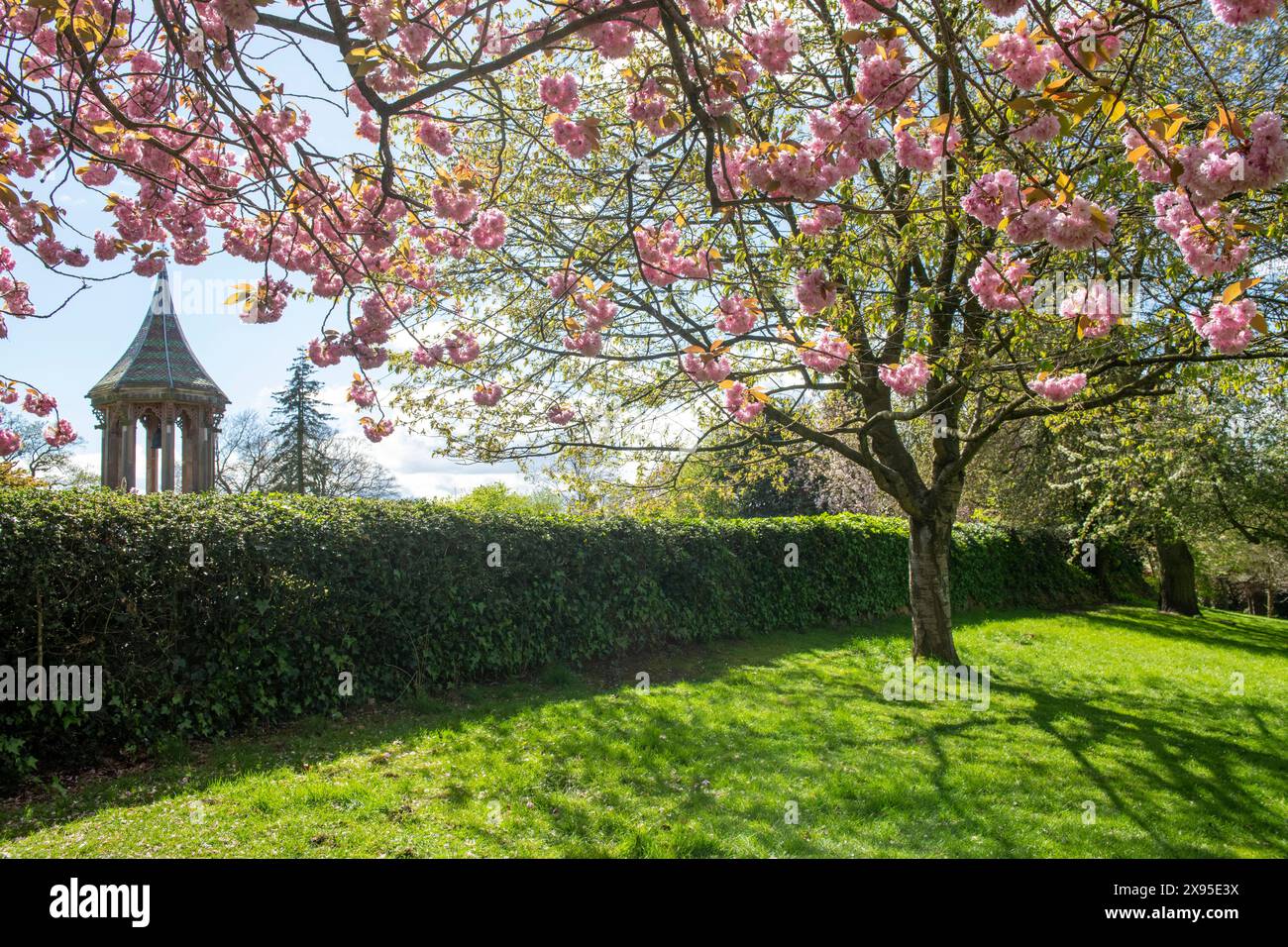 Spring at the Arboretum Park in Nottingham City Centre, Nottinghamshire ...