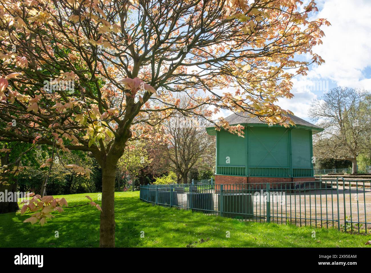 Spring at the Arboretum Park in Nottingham City Centre, Nottinghamshire ...
