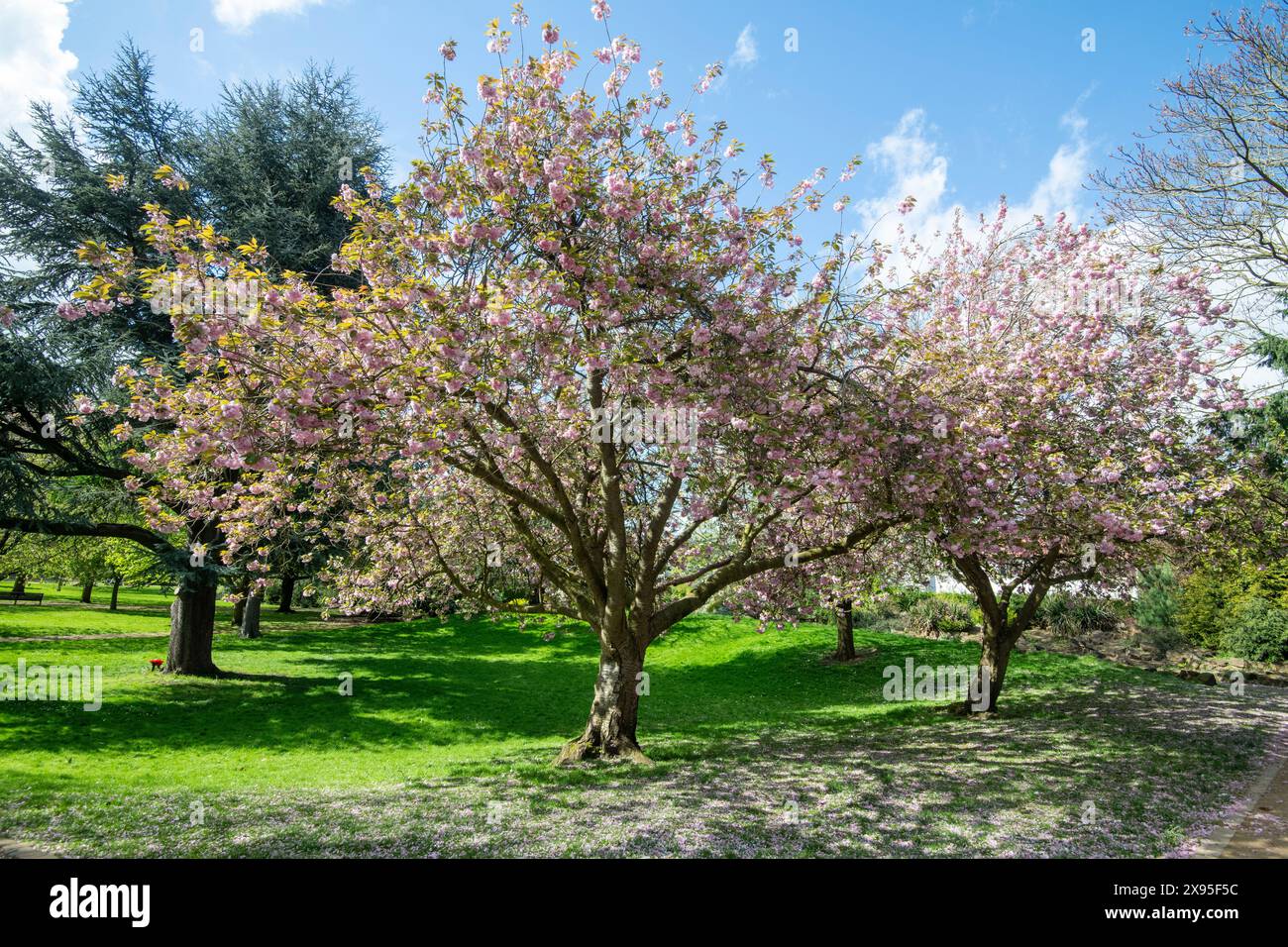 Sunny spring Day at the Victoria Embankment Memorial Gardens ...