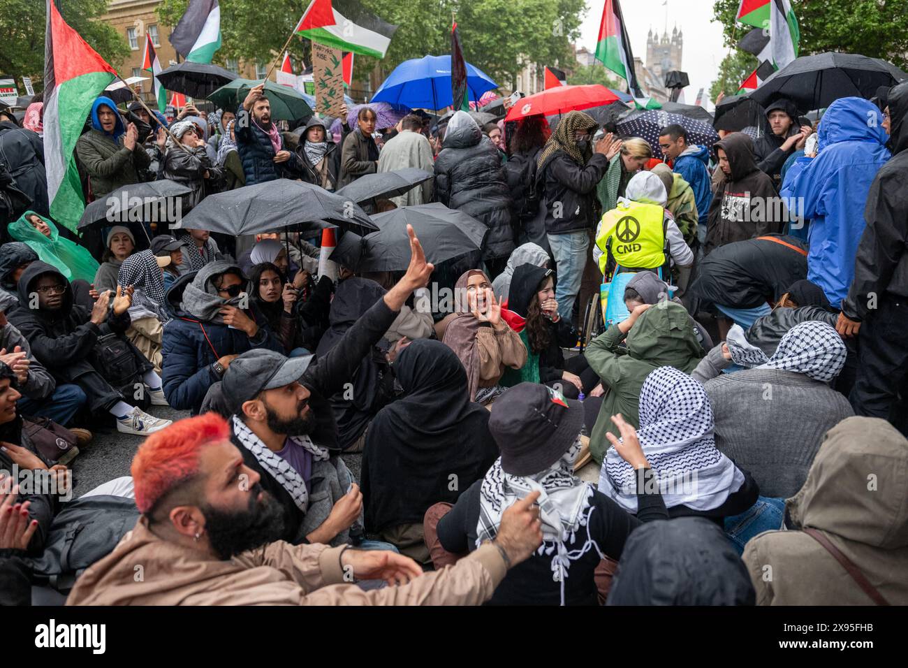 A emergency rally was called on Whitehall in central London, after the ...