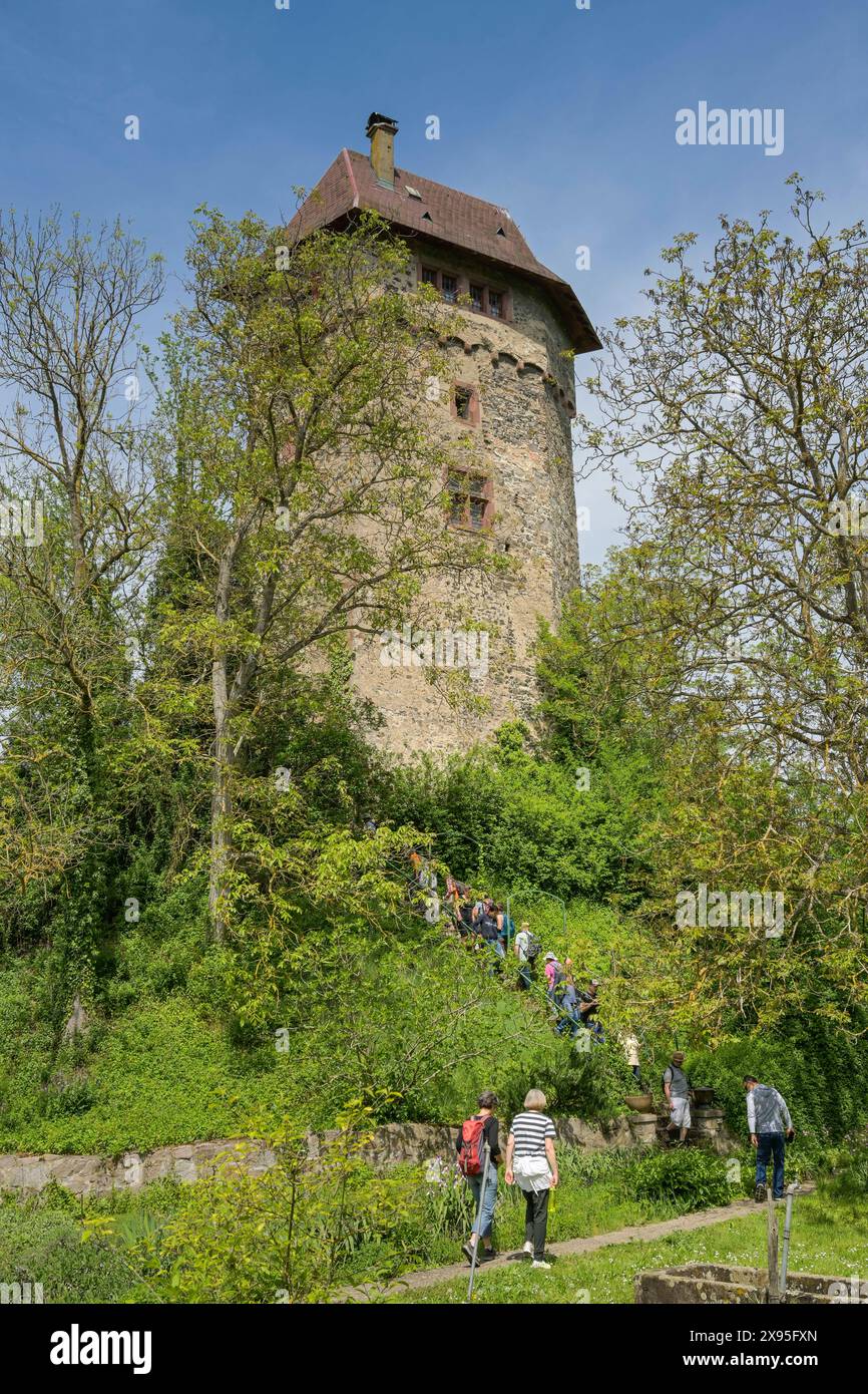 Sasbach am kaiserstuhl hi-res stock photography and images - Alamy