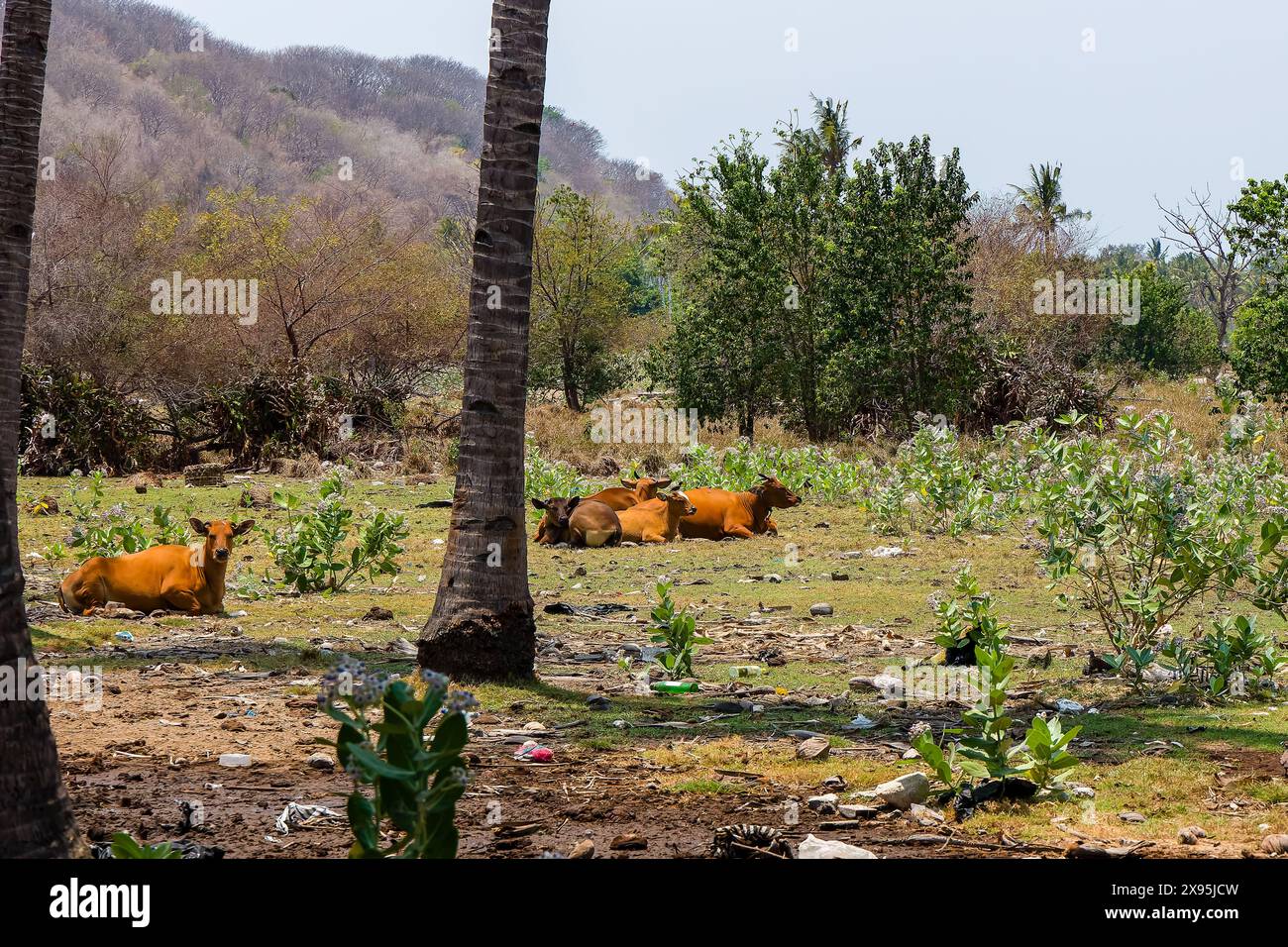 Indonesia plastic recycling hi-res stock photography and images - Alamy