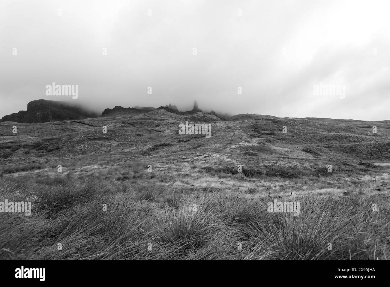 Cloudy forest landscape Black and White Stock Photos & Images - Alamy